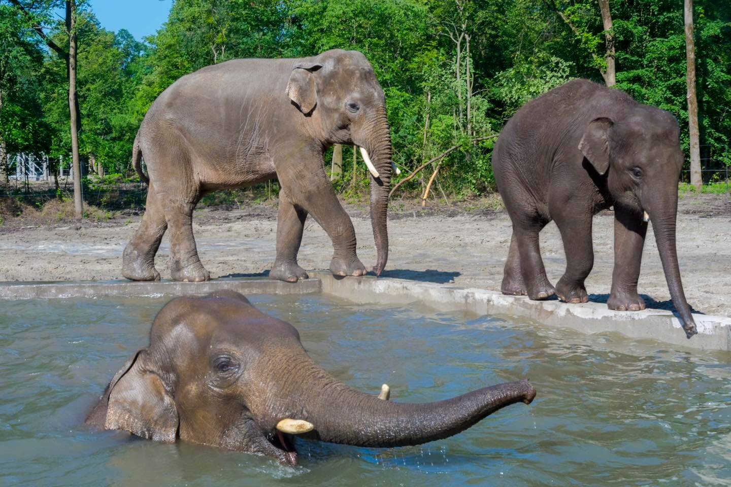 5 csábító svédasztalos étterem Budapesten, amiben nem fogsz csalódni ...